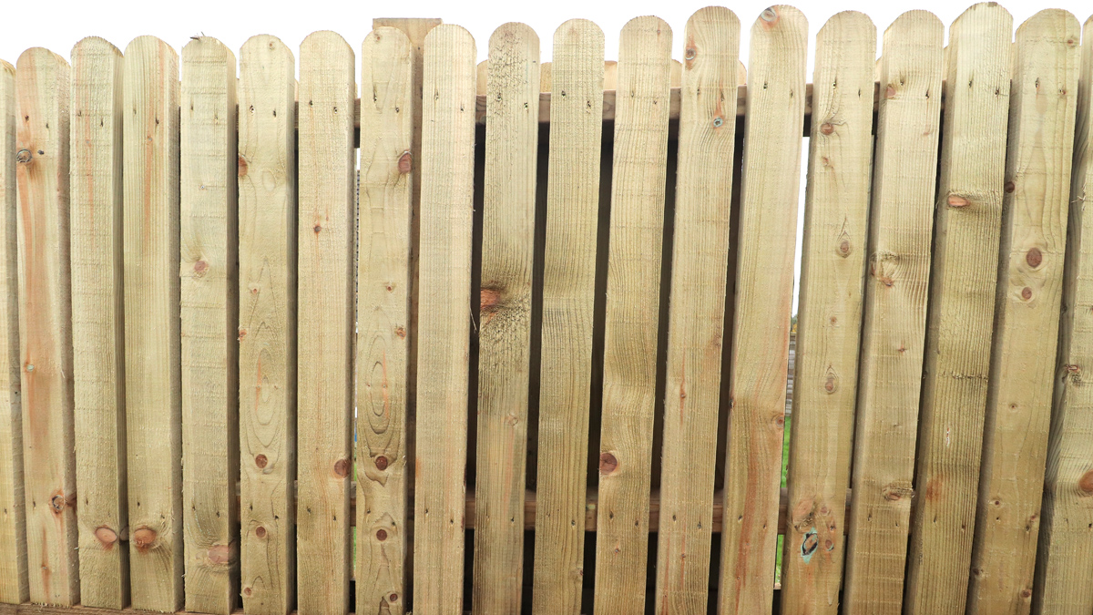 The top corner project – part 3 – 9/11/2020 – garden ruminations