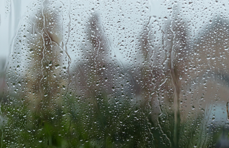 Water stuff: part 1, collection. – garden ruminations